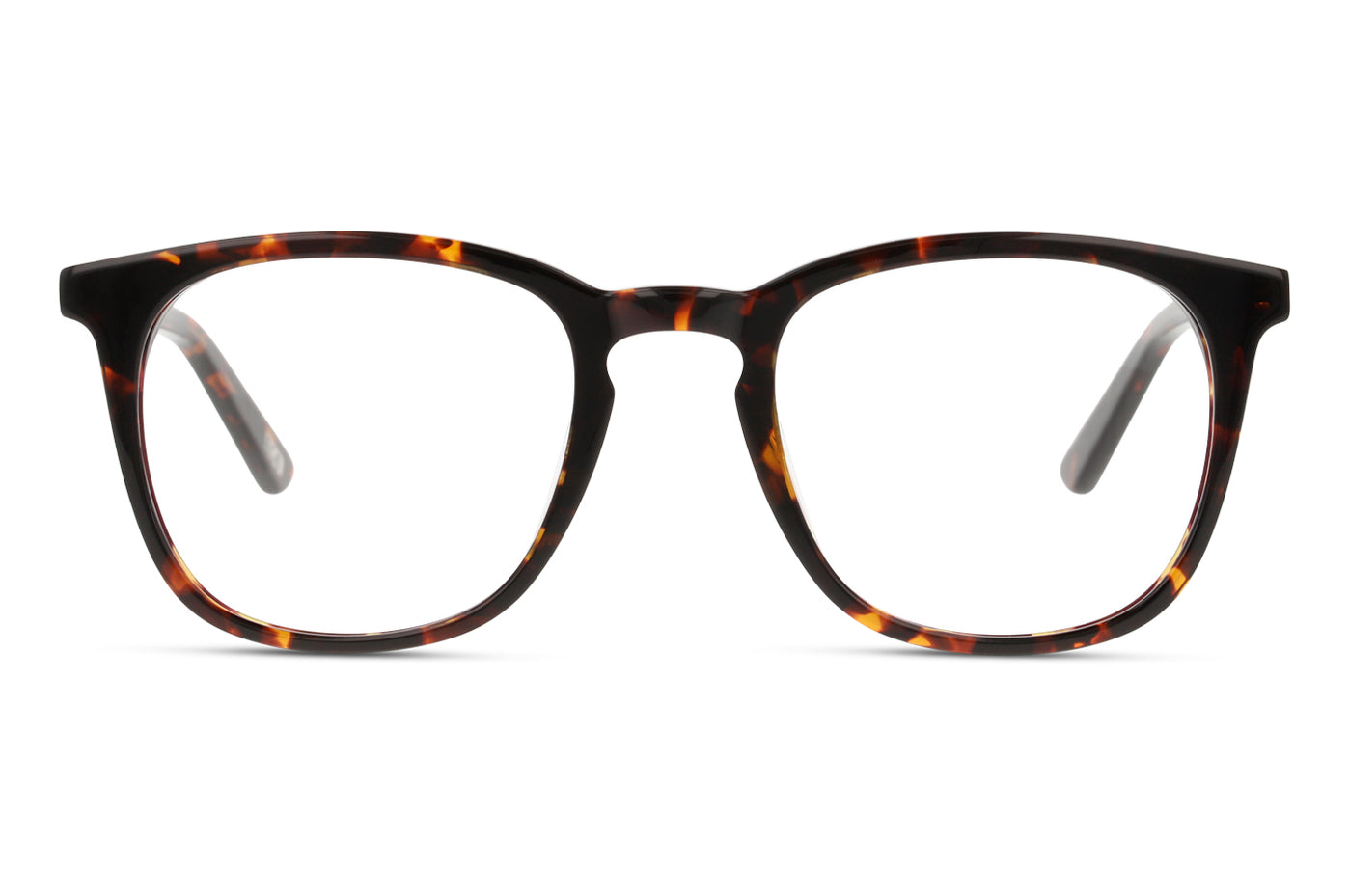 Gafas oftálmicas DbyD DBOM0035 Hombre Color Havana