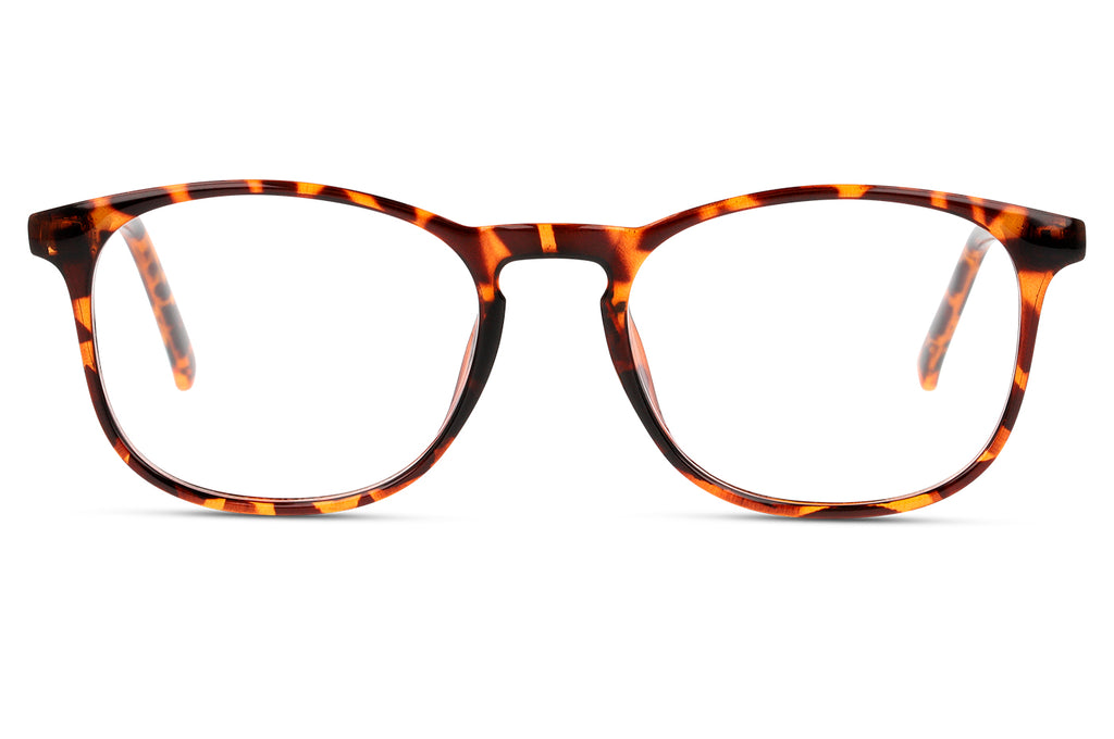 Gafas oftálmicas Seen BP_SNOU5003 Hombre Color Havana / Incluye lentes ...