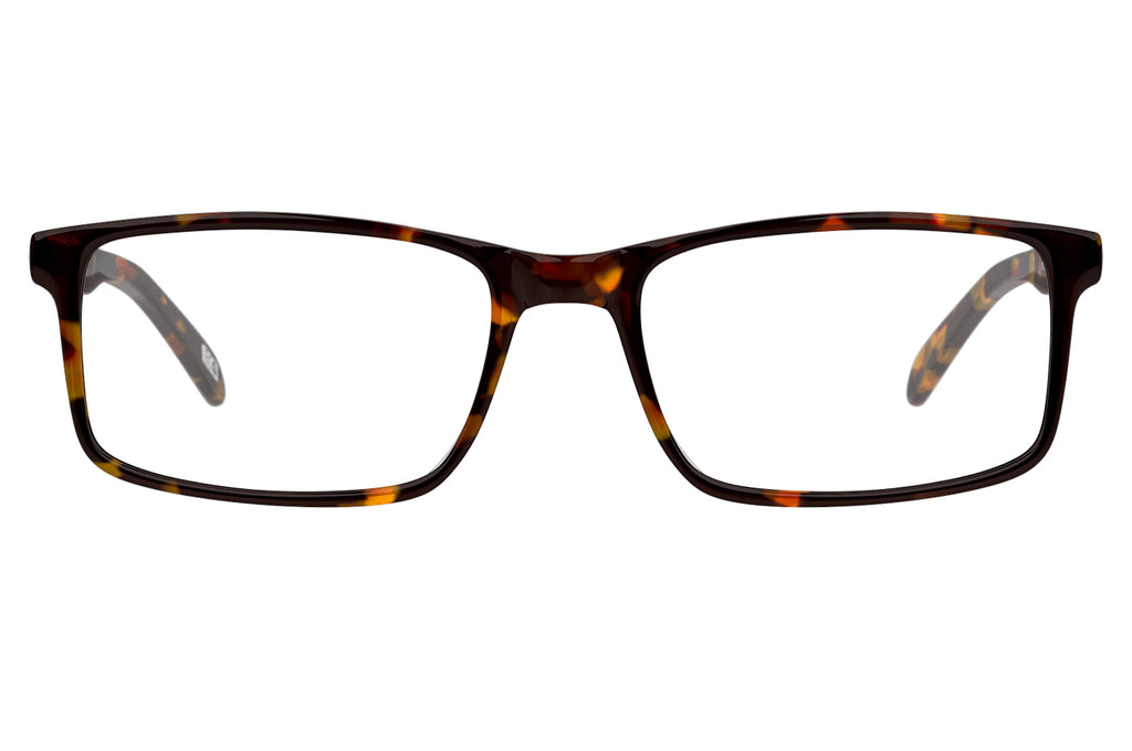 Gafas oftálmicas DbyD CL_DBOM0022 Hombre Color Havana